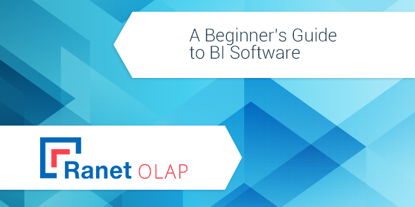 Ranet OLAP: Guide to BI Software
