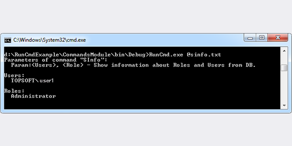 Using Command Line Utility RunCmd