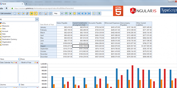 We Released Ranet OLAP Pivot Table for HTML5