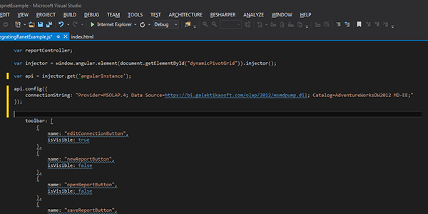Frontend Customization with Ranet OLAP HTML Pivot Table