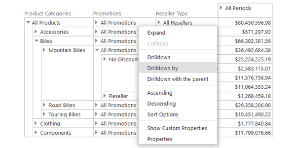 Pivot Table Data Analysis Commands in Ranet OLAP